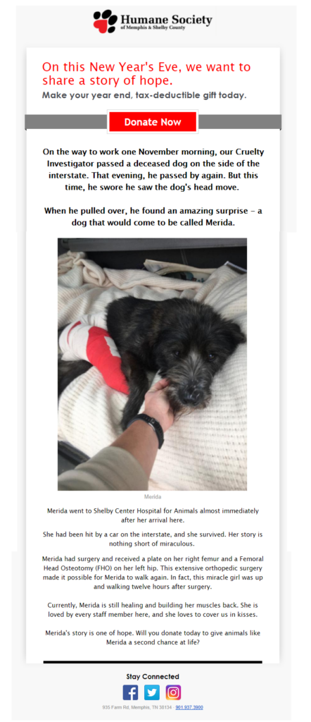 5 Outstanding Fundraising Email Examples | 4aGoodCause