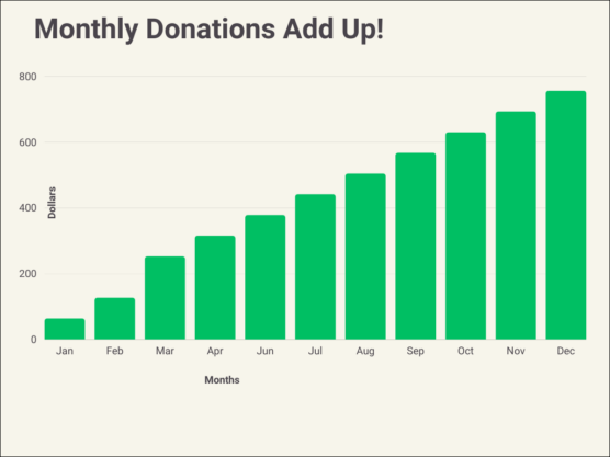 Why Monthly Giving Matters: The Impact and Sustainability it Brings ...