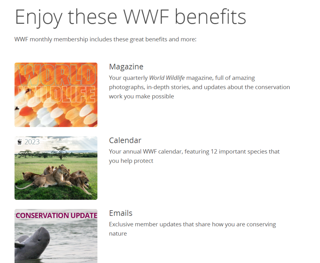 Scaling Success: Lessons for Small Nonprofits from the Top 20 Large ...