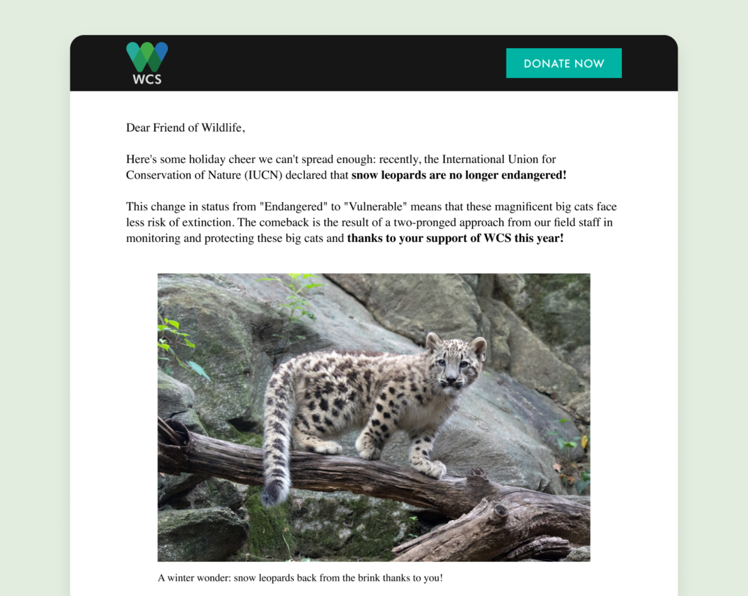 How to create the BEST fundraising email—with 5 real-life examples ...