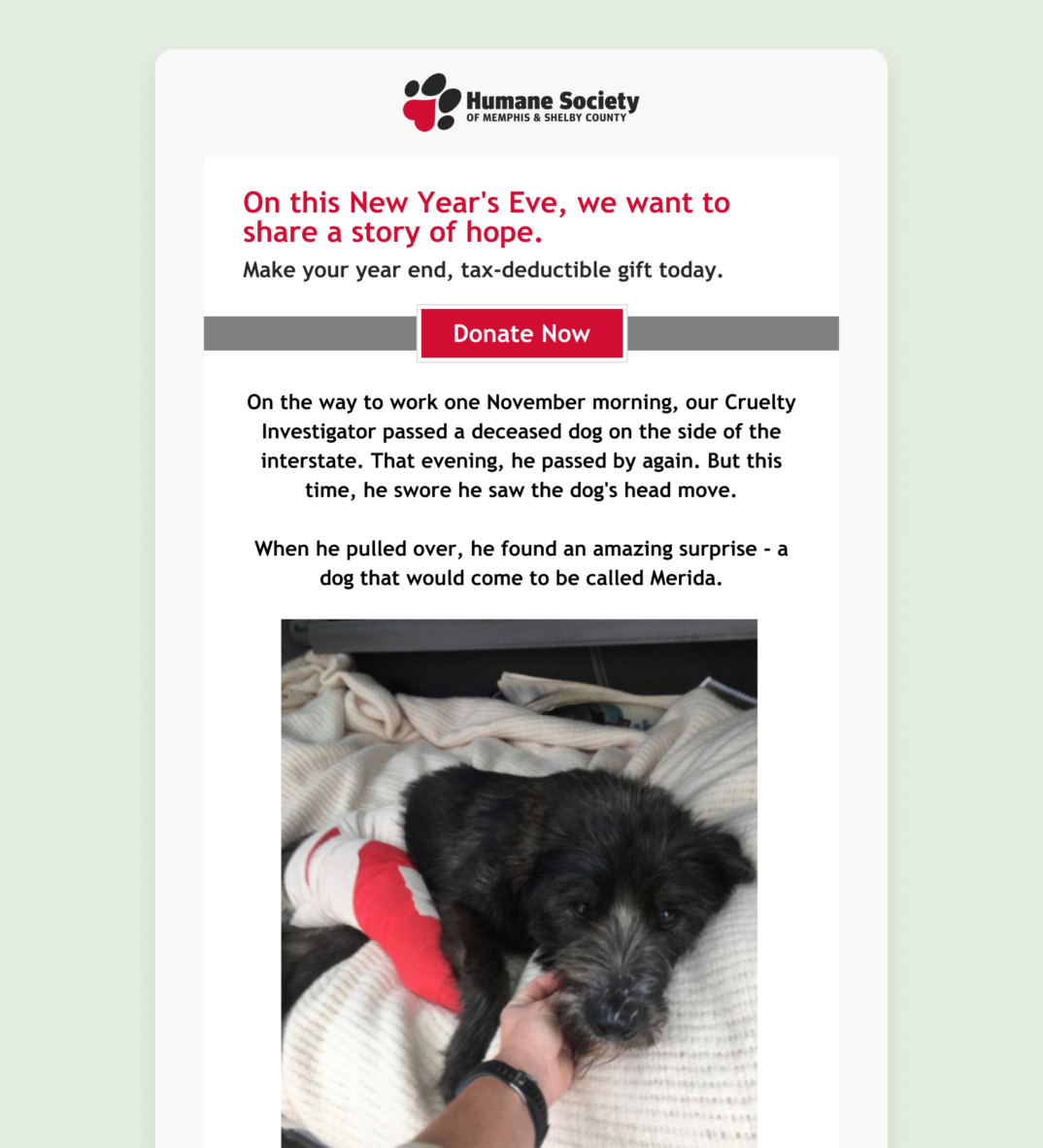 How to create the BEST fundraising email—with 5 real-life examples ...