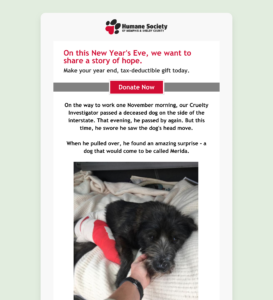 How to create the BEST fundraising email—with 5 real-life examples ...